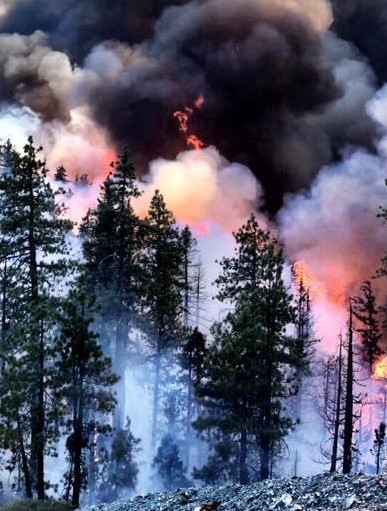 Standardized use of FireNet by Geographic Areas and Incident Management ...