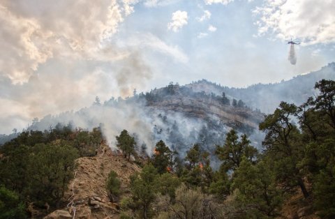 NWCG Training Catalog now on Wildland Fire Learning Portal | NWCG