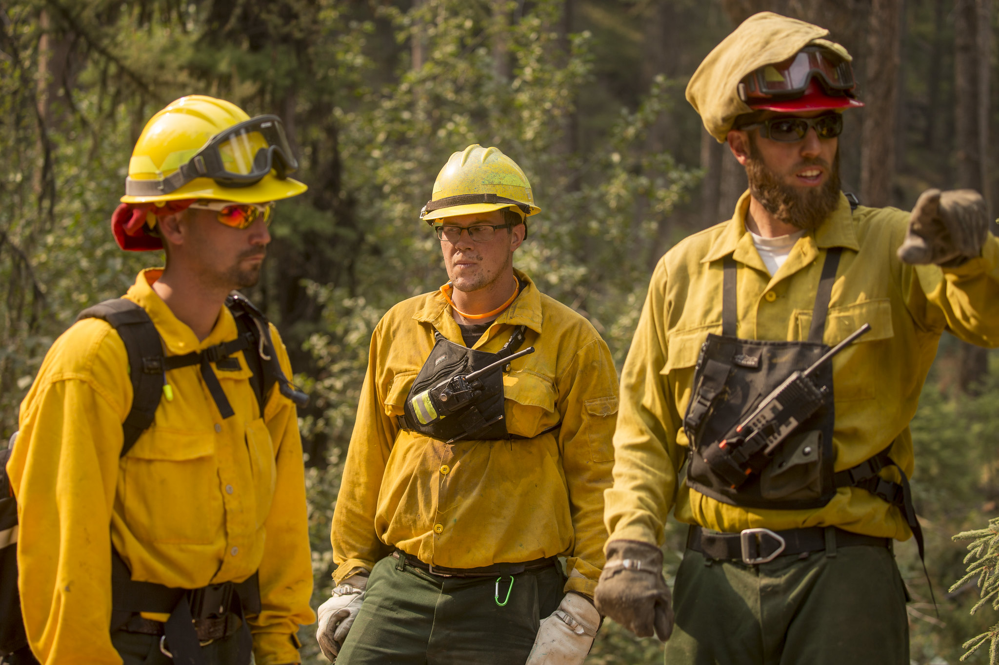 The Next Generation Position Task Book and Incident Position Standards ...