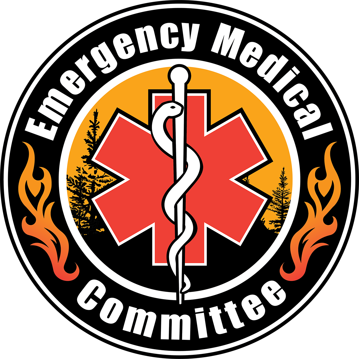 2024 Wildland Fire Emergency Medical Service Awards | NWCG