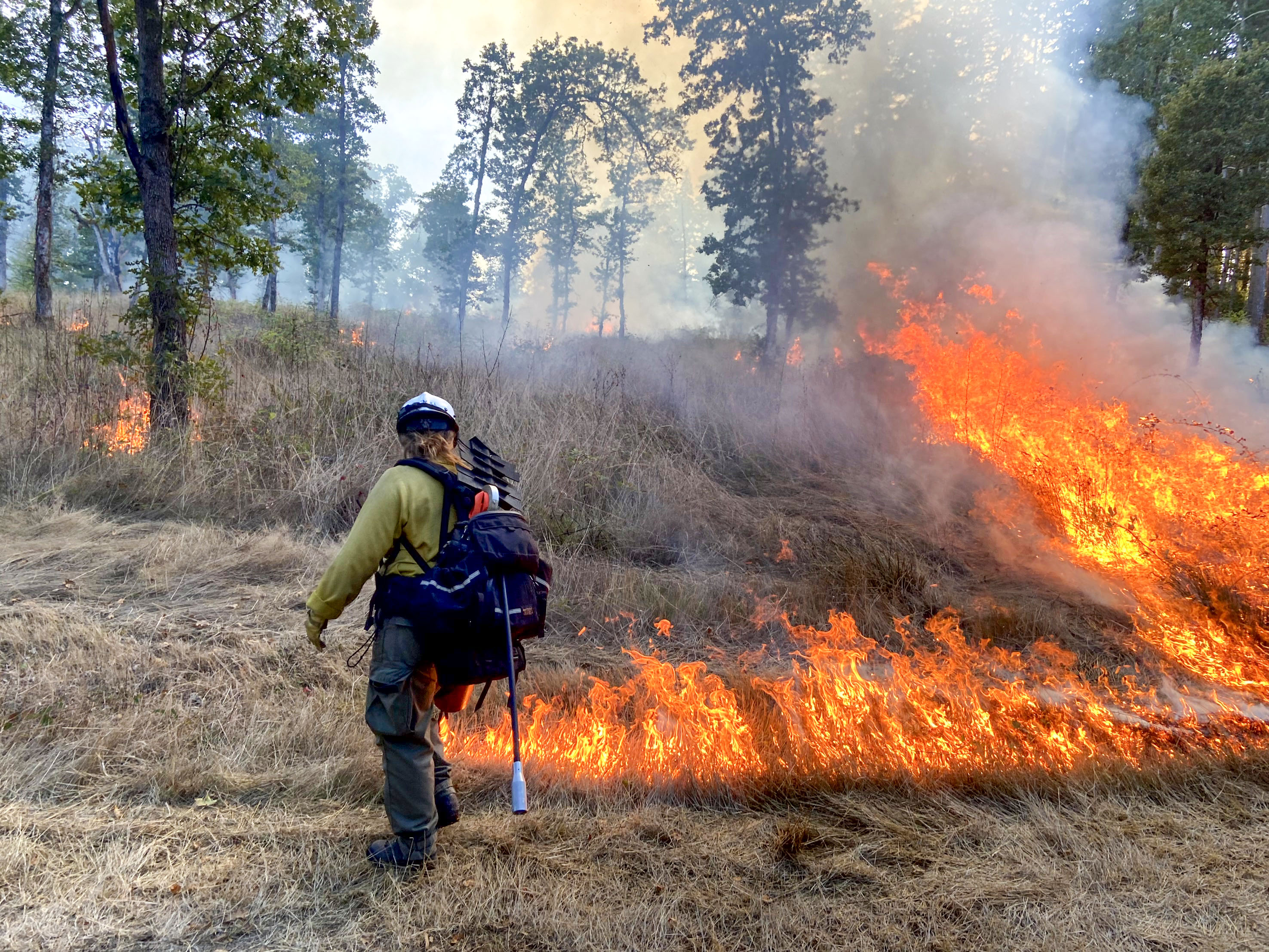 NEW! S-219, Firing Operations (Blended) Now Available | NWCG