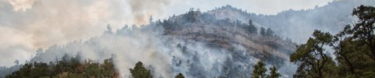 NWCG Training Catalog now on Wildland Fire Learning Portal NWCG Training Catalog now on Wildland Fire Learning Portal