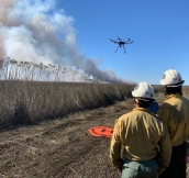 Fuels: Surface Fuel Model Descriptions | NWCG