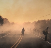 Weather Information Management System (WIMS) | NWCG